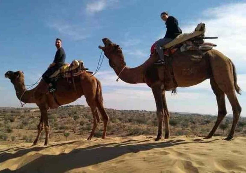 Private Jodhpur City Sightseeing Tour With Camel Safari - Practical Considerations: What’s Included & What’s Not