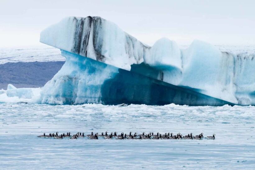 Private Jökulsárlón Glacier Lagoon Tour - Key Points