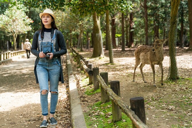 Private Journey in Nara's Historical Wonder - Common Questions