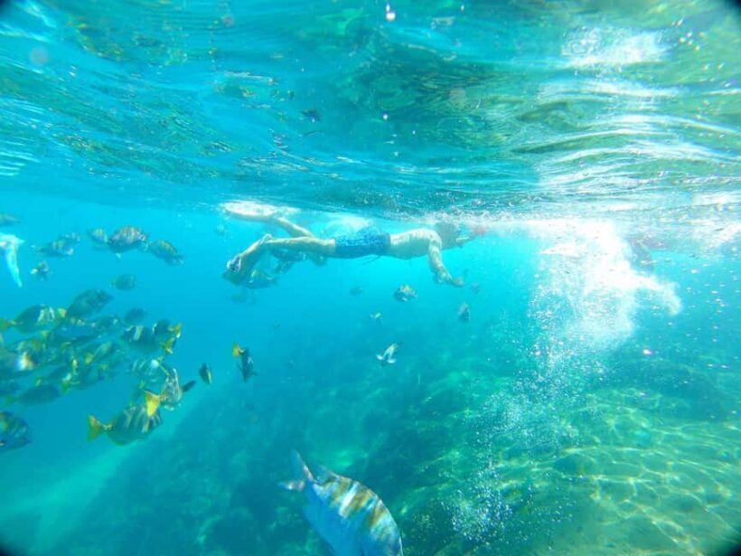 Private Junior Catamaran Tour in Punta Cana with Transportation Included - Final Thoughts: Is It Worth It?