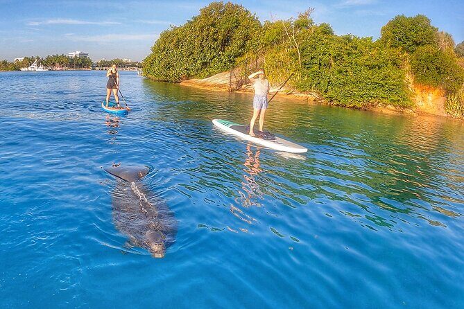 Private Jupiter Island Guided Paddle Boarding Tour - Final Thoughts: Is It Worth It?