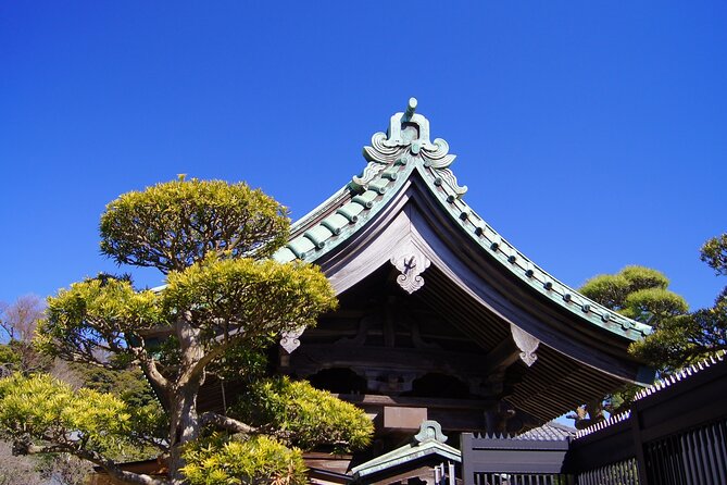 Private Kamakura and Enoshima Day Tour From Tokyo - Discovering Enoshima