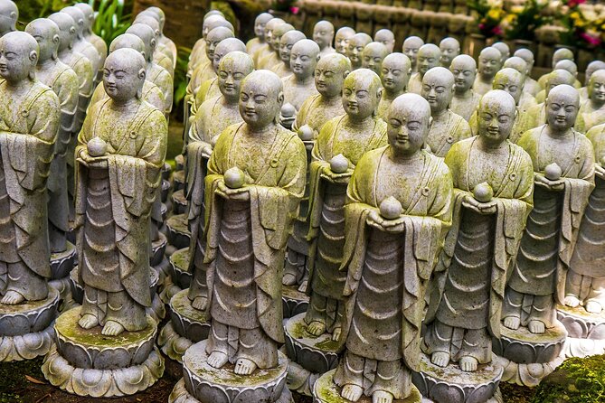 Private Kamakura Plus Yokohama Tour - English Speaking Driver - Tour Experience and Driver Feedback