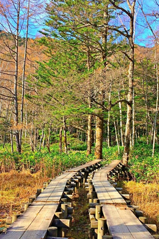 Private Kamikochi & Matsumoto Tour: From Nagano/Matsumoto - Nawate Shopping Street Discovery