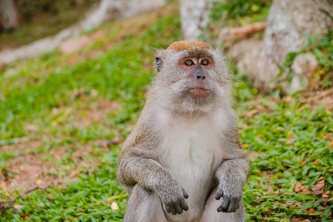 Private Kanching Waterfalls with Batu Caves & Ramayana Caves Tour - Who Will Love This Tour?