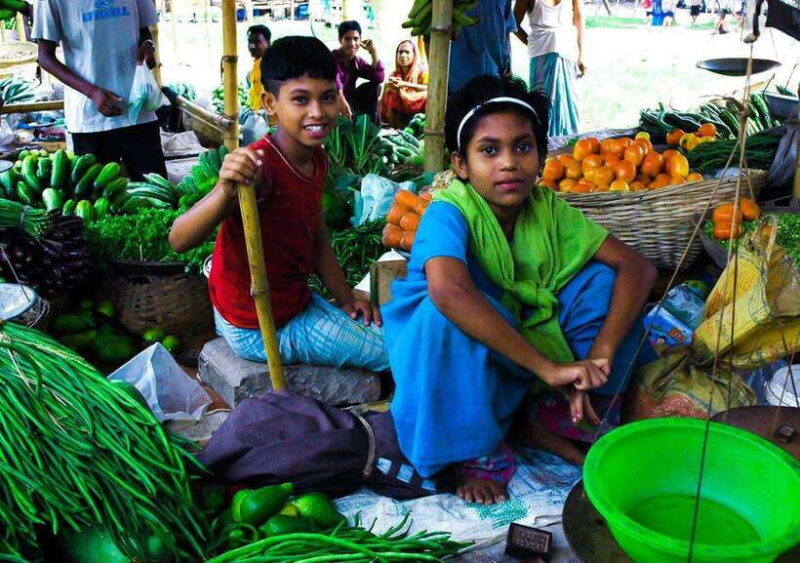 Private Kandy City Tuk-Tuk Tour and Cultural Dance Show - Who Will Love This Tour?
