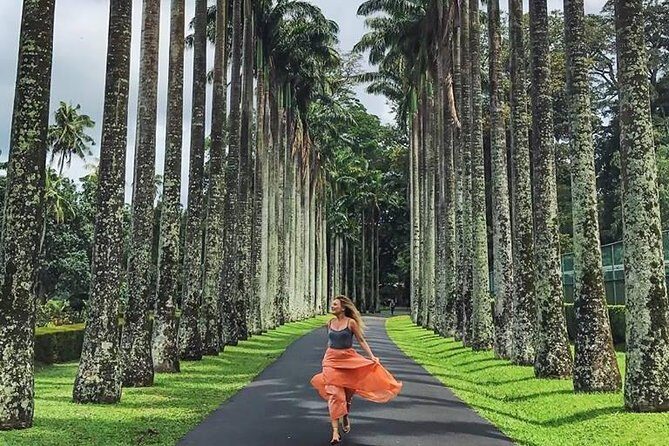 Private Kandy Day Tour from Colombo - Who Should Consider This Tour?