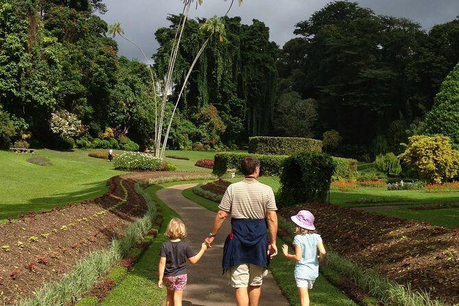 Private Kandy Day Tour from Colombo - Exploring the Itinerary