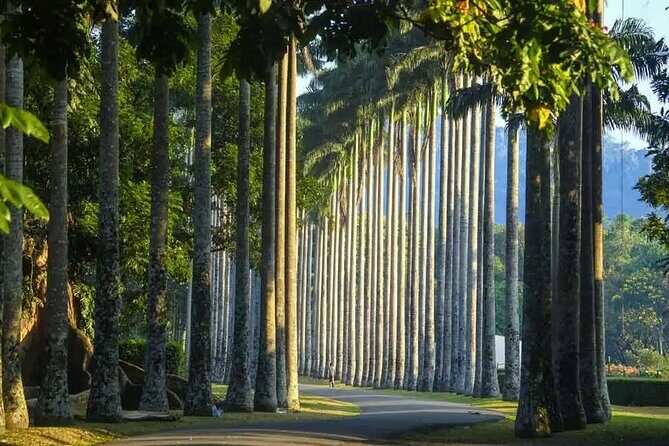 Private Kandy Day Tour From Negombo - Final Thoughts: Is This Tour Worth It?