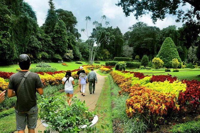 Private Kandy Tour by Air-Conditioned Car: Do it All in One Day - Who Should Consider This Tour?