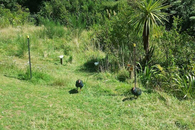 Private Kapiti Coast Full Day Tour - FAQs