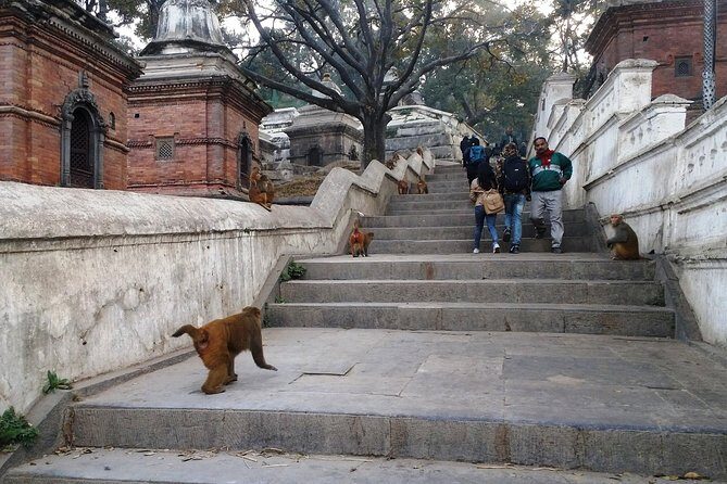 Private Kathmandu Sightseeing Tour 4 UNESCO World Heritage Sites - Boudhanath Stupa