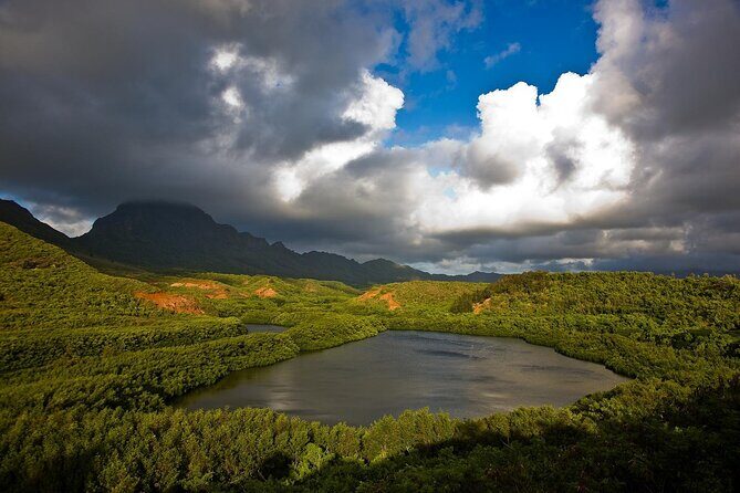 Private Kauai 5-Hour Eastside & Waterfalls Tour - Setting the Scene: What to Expect from the Tour