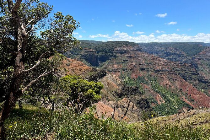 Private Kauai Island Tour : Waimea Canyon, Kalalau Lookout + More - What’s Included and What’s Not
