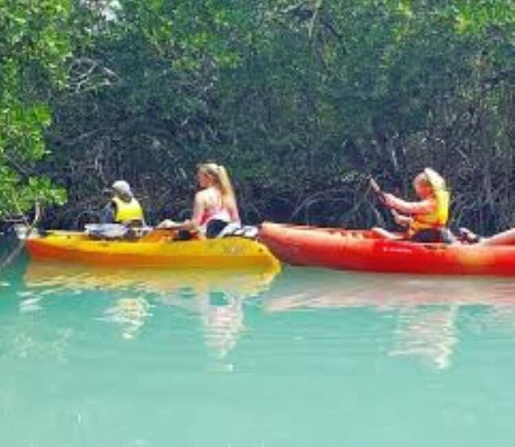 Private: Kayak Adventure at Los Haitises Sunrise Exploration - Discovering Los Haitises by Kayak: An Authentic Experience