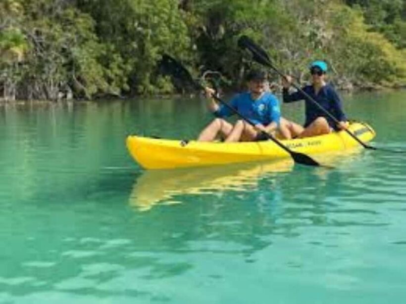 Private: Kayak Adventure at Los Haitises Sunrise Exploration - The Practicalities: What to Know Before You Go