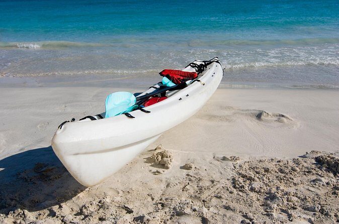 Private Kayak Tour in Puerto Rico - Why Choose This Tour?