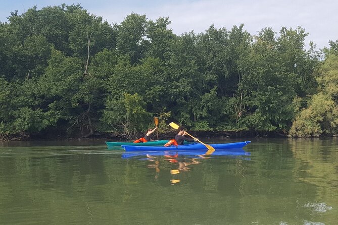 Private Kayak Tour in the Venetian Lagoon - Exploring the Untouched Islands