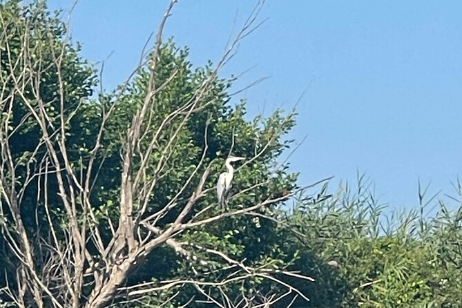 Private Kayaking Experience in Parga Area - Highlights of the Experience