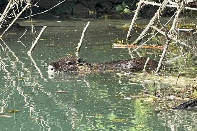 Private Kayaking Experience in Parga Area - What to Expect During the Tour