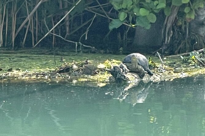 Private Kayaking Experience in Parga Area - Traveler Testimonials and Experiences