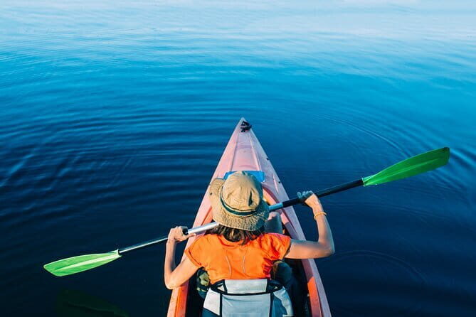 Private Kayaking Experience with Pick Up in Goa - The Sum Up