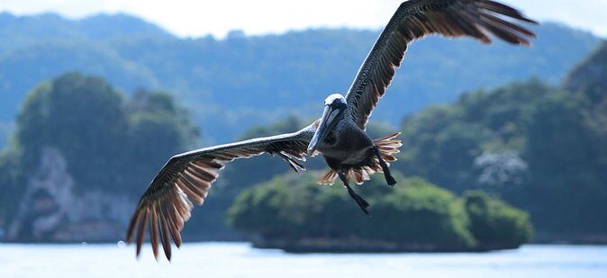 Private Kayaking in Los Haitises with Tour guide from Caño Hondo - Exploring Los Haitises by Kayak: What to Expect