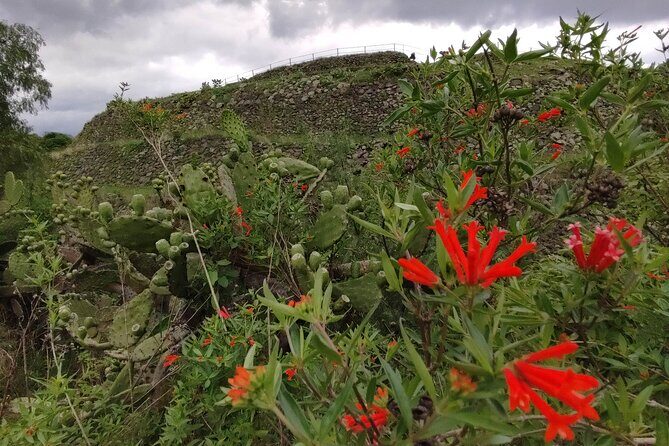 Private kayaks tour in Xochimilco & Cuicuilco pyramid - Who This Tour Is Best For