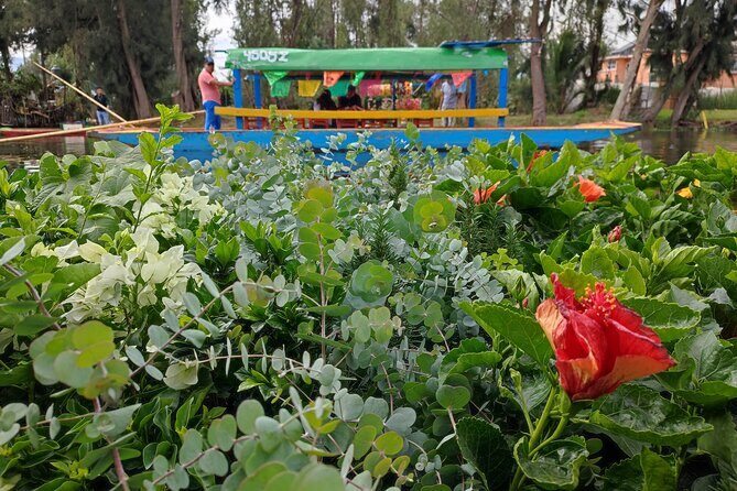Private kayaks tour in Xochimilco & Cuicuilco pyramid - Frequently Asked Questions
