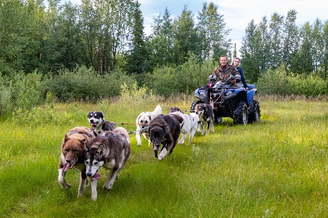 Private Kennel Visit and ATV Tour With the Huskies - Experience Details
