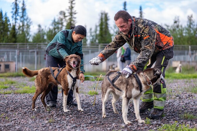 Private Kennel Visit and ATV Tour With the Huskies - Meeting Location and Logistics