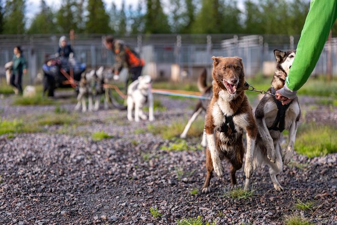 Private Kennel Visit and ATV Tour With the Huskies - Enjoying Refreshments by the Open Fire