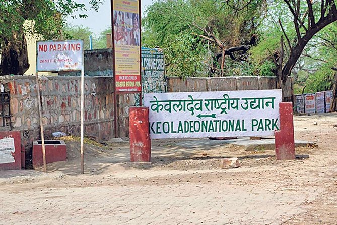 Private Keoladeo National Park Tour sightseeing - All Inclusive - The Sum Up