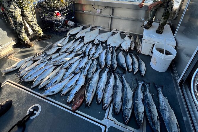 Private Ketchikan Halibut and Salmon Fishing Charter - The Itinerary In-Depth