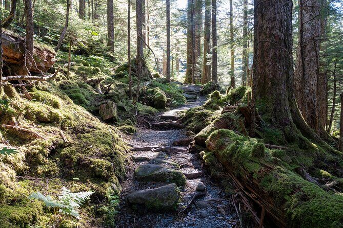 Private Ketchikan Mountain Lake Extended Trek to Alpine Overlook - An Introduction to the Experience