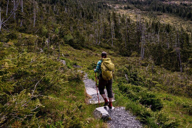Private Ketchikan Mountain Lake Extended Trek to Alpine Overlook - Why Travelers Rave About It
