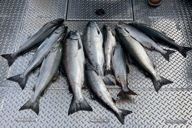 Private Ketchikan Wild Alaskan Salmon Fishing Trip - What Makes This Fishing Trip Stand Out