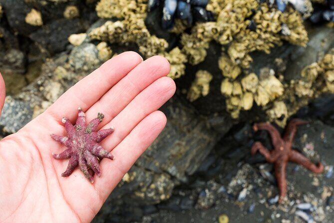 Private Ketchikan Wildlife and Sightseeing Tour - An In-Depth Look at the Tour Itinerary