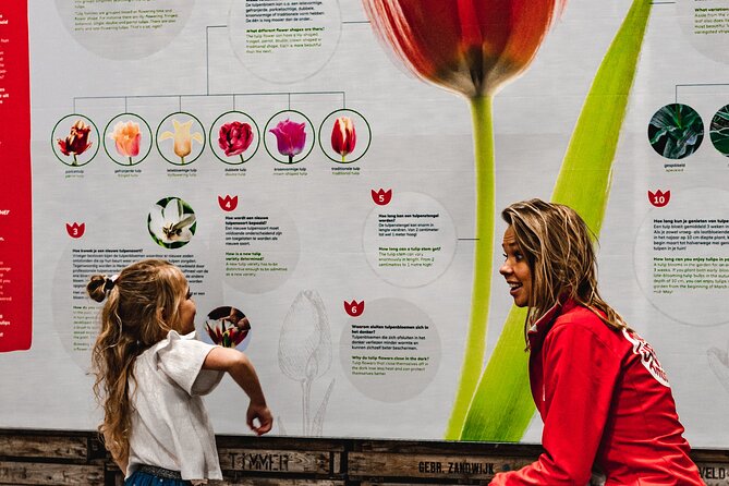 Private Keukenhof Gardens and Tulip Fields Tour from Amsterdam - Key Points