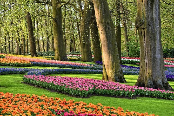 Private Keukenhof Gardens and Tulip Fields Tour from Amsterdam - Who Will Love This Tour?