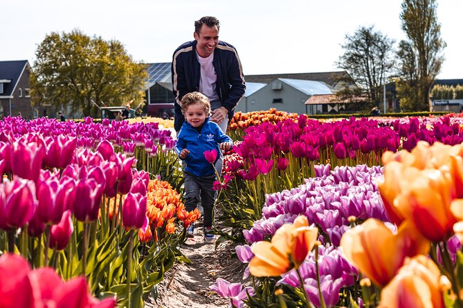 Private Keukenhof, Gardens, Windmills, cheese tour from Amsterdam - The Sum Up: Is This Tour Right for You?