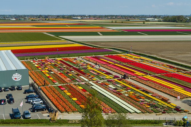 Private Keukenhof, Gardens, Windmills, cheese tour from Amsterdam - FAQ