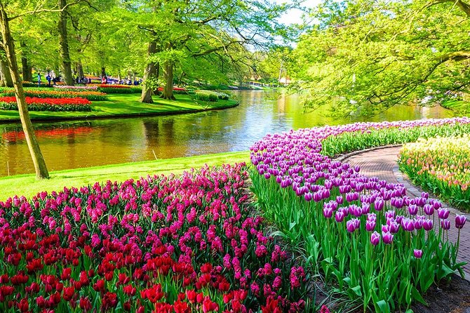 Private Keukenhof Tulip Fields Tour From Amsterdam(Skip-The-Line) - Inclusions and Logistics