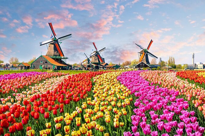 Private Keukenhof Tulip Fields Tour From Amsterdam(Skip-The-Line) - Accessibility
