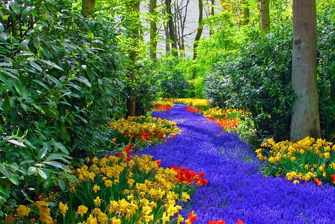 Private Keukenhof Tulip Fields Tour From Amsterdam(Skip-The-Line) - Customizing Your Private Tour Experience
