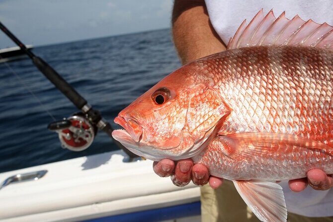 Private Key West Fishing & Sandbar or Snorkel Charter - Setting Out on a Private Maritime Adventure