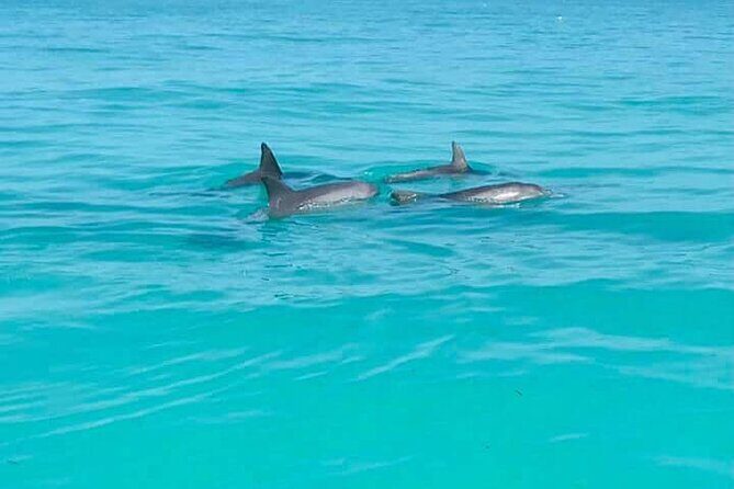 Private Key West National Wildlife Refuge Eco Trip - Frequently Asked Questions (FAQs)