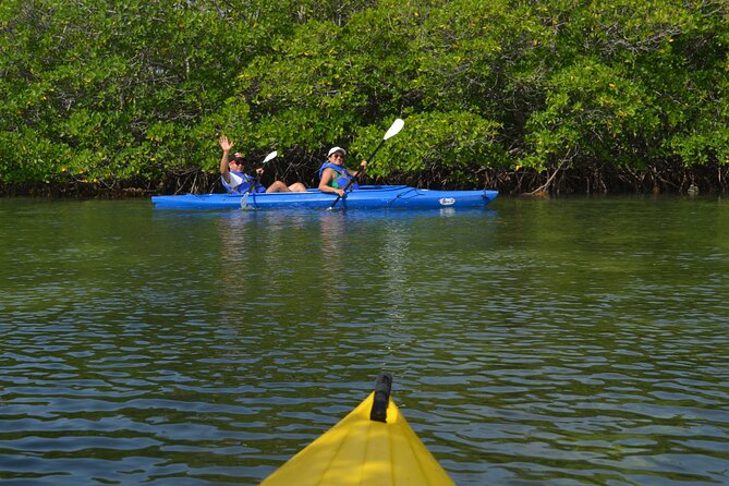 Private Key West Sandbar and Paddle by Boat - The Sum Up