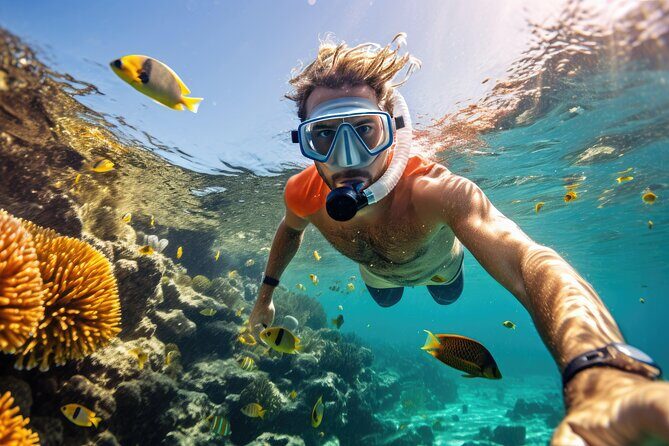 Private Key West Snorkeling Adventure - Why Choose This Tour?