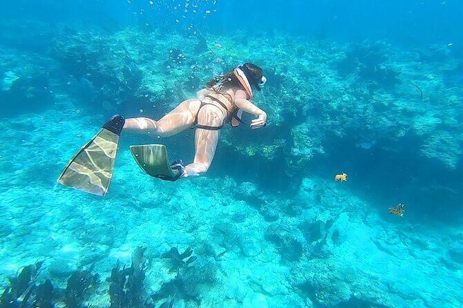 Private Key West Snorkeling Adventure - Frequently Asked Questions